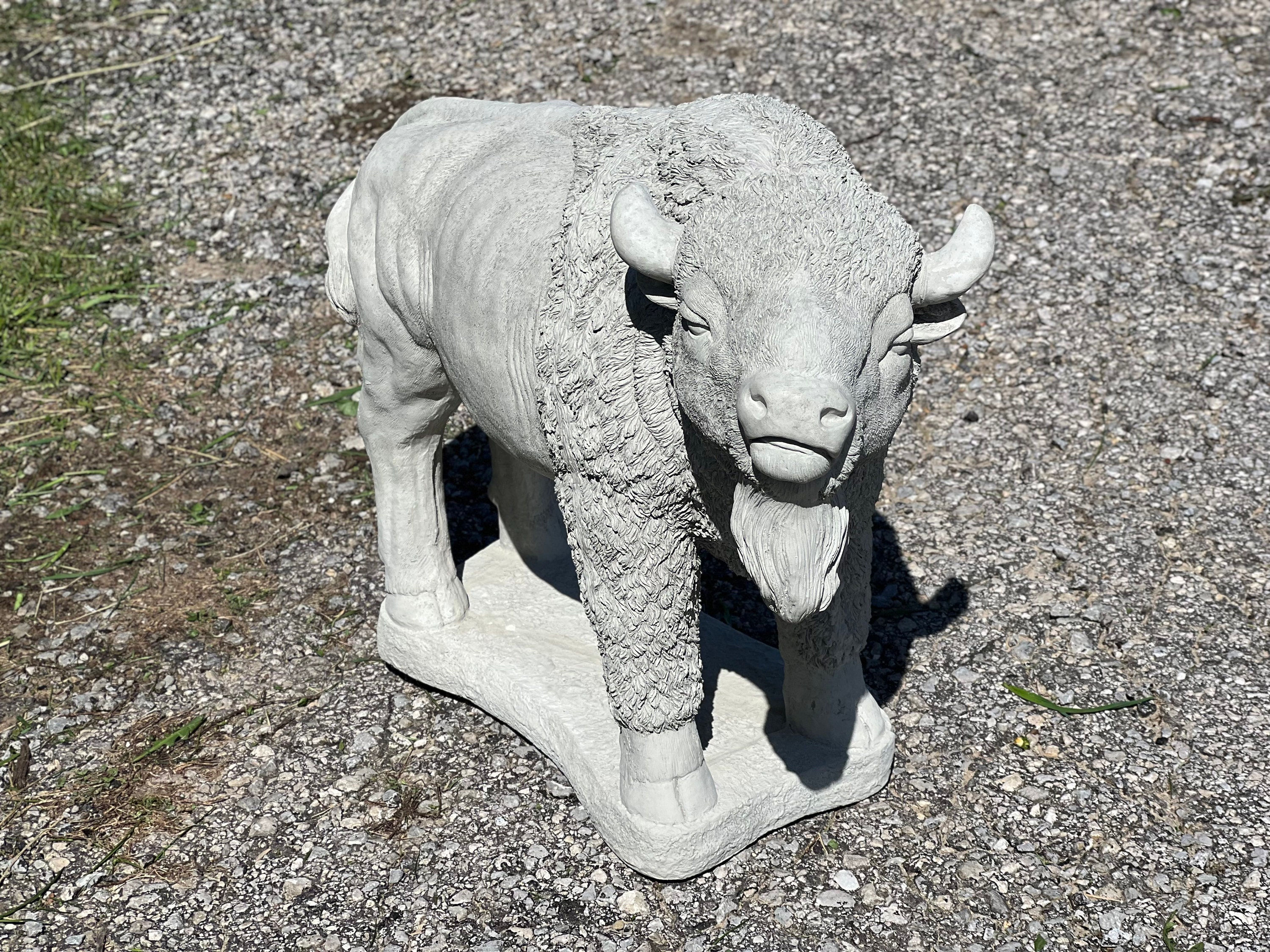 Massive Buffalo Concrete Statue 22" Stone American White Bison Garden ...