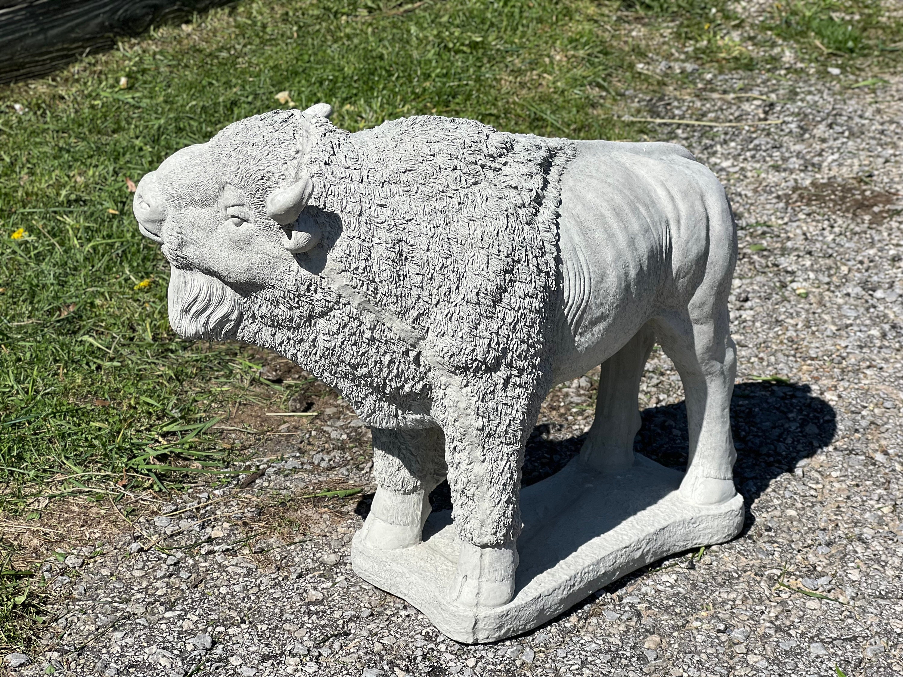 Massive Buffalo Concrete Statue 22" Stone American White Bison Garden ...