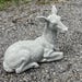 Huge Deer Statue Concrete Garden Sculpture Realistic Forest Animal ...