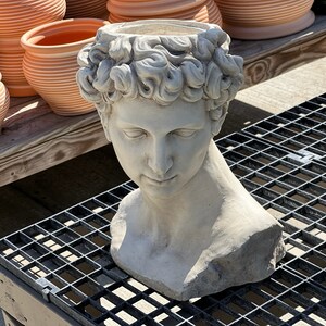 David Head Statue Greek Head Planter Roman Sculpture King David Bust ...