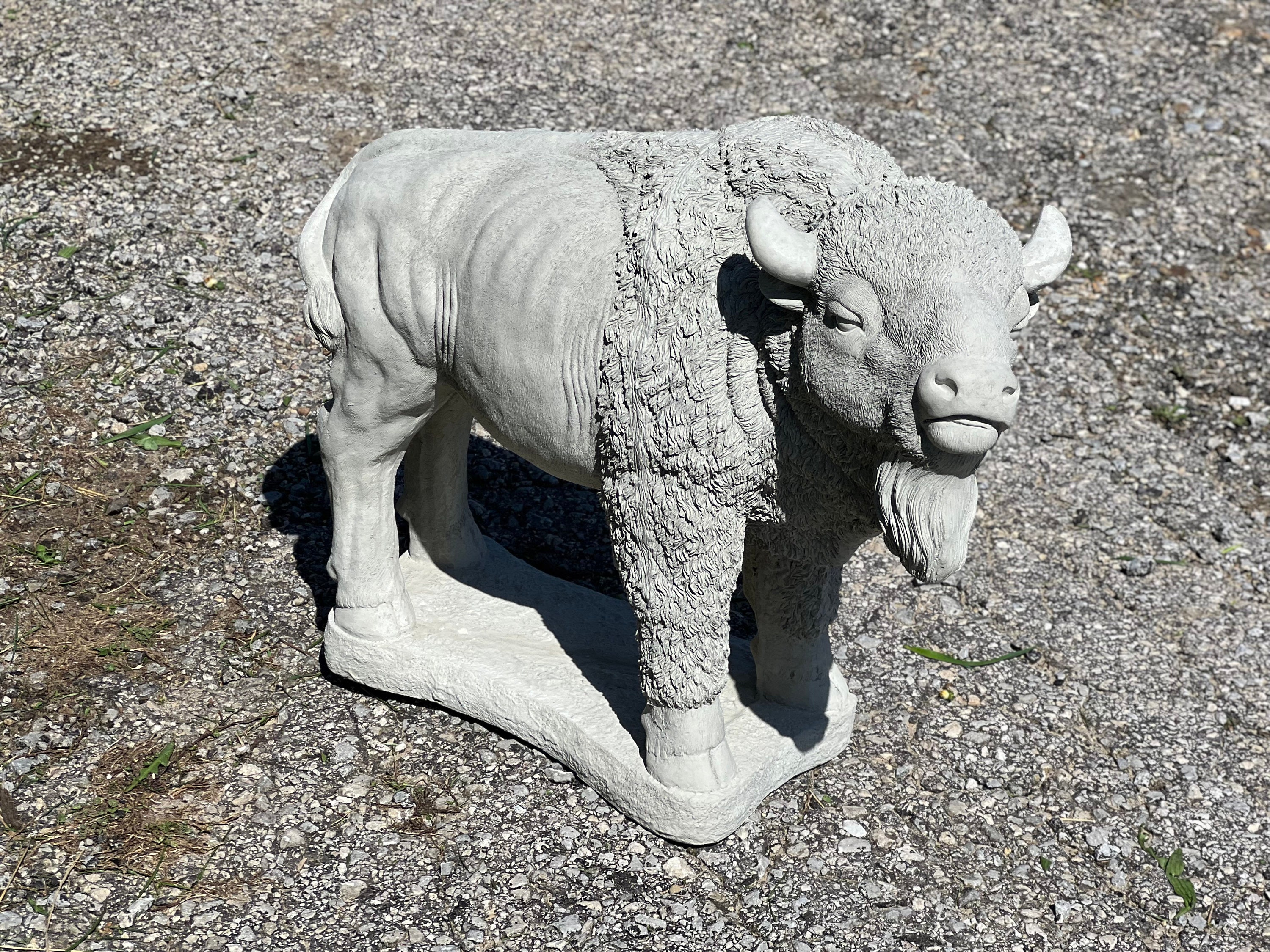 Massive Buffalo Concrete Statue 22" Stone American White Bison Garden ...