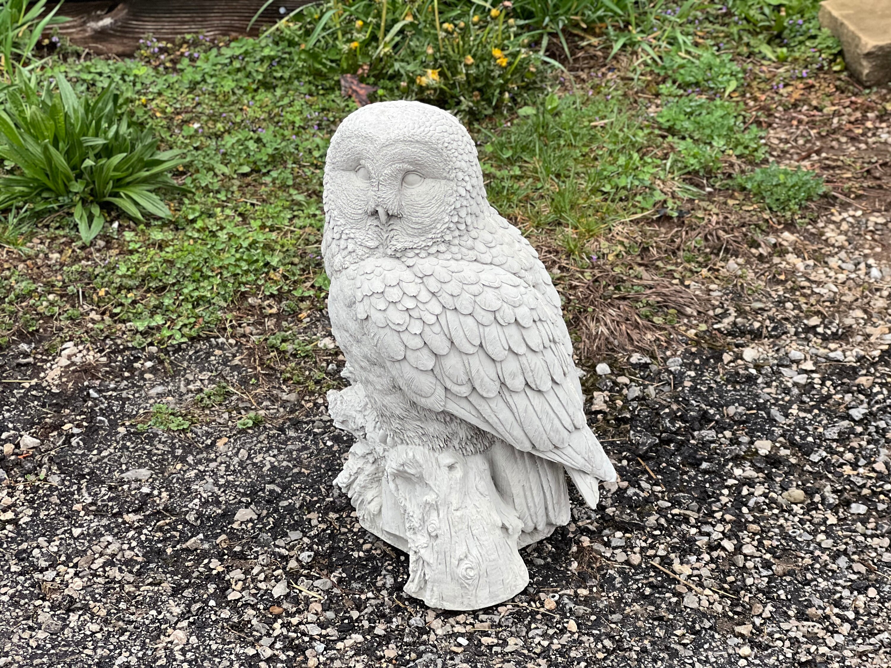 Large Owl Statue Concrete Outdoor Night Owl Sculpture Wild Bird ...