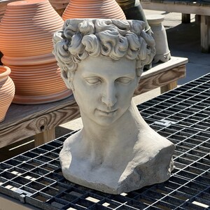 David Head Statue Greek Head Planter Roman Sculpture King David Bust ...