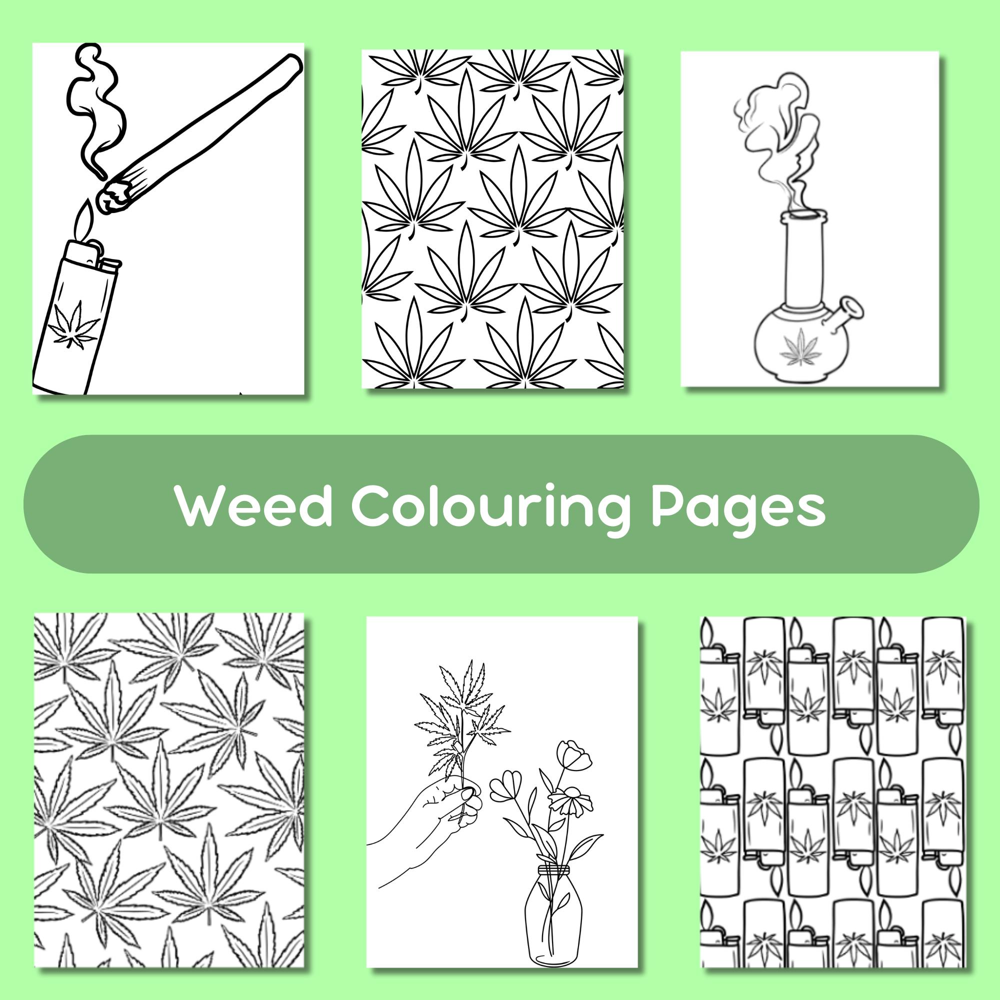 Cannabis Colouring Pages for Adults Weed Accessory Desgin Colouring ...