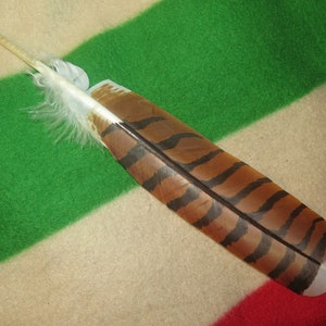 Native American Made, Red Tailed Hawk Hand Painted - Etsy