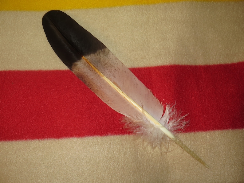 Native American Made Hand Painted Golden Eagle Feather - Etsy