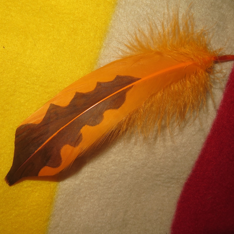 Lucky Feather - Etsy