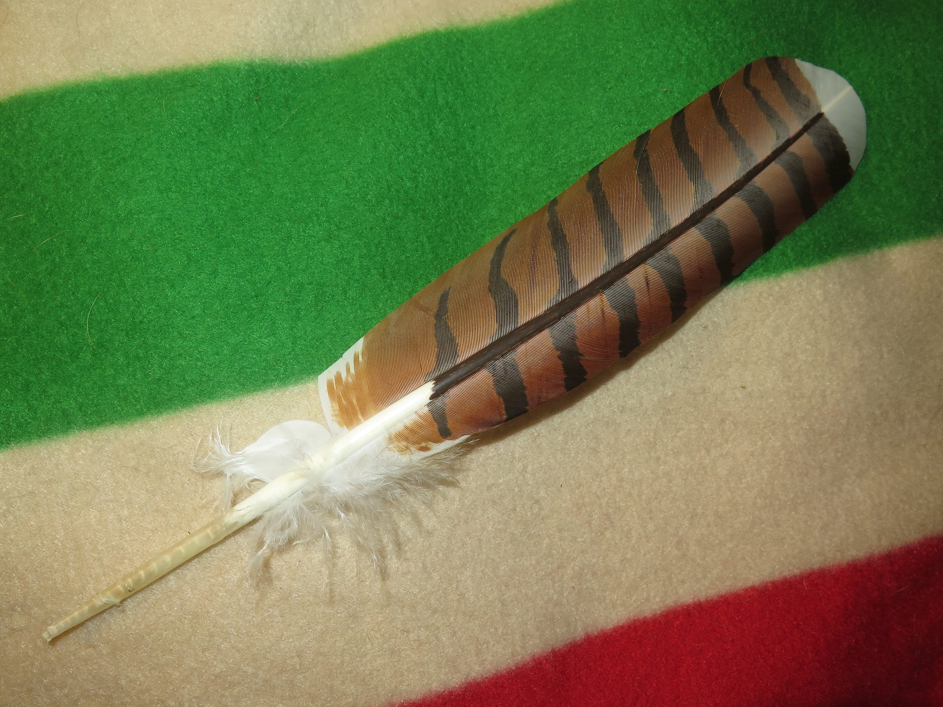 Native American Made, Red Tailed Hawk Hand Painted - Etsy