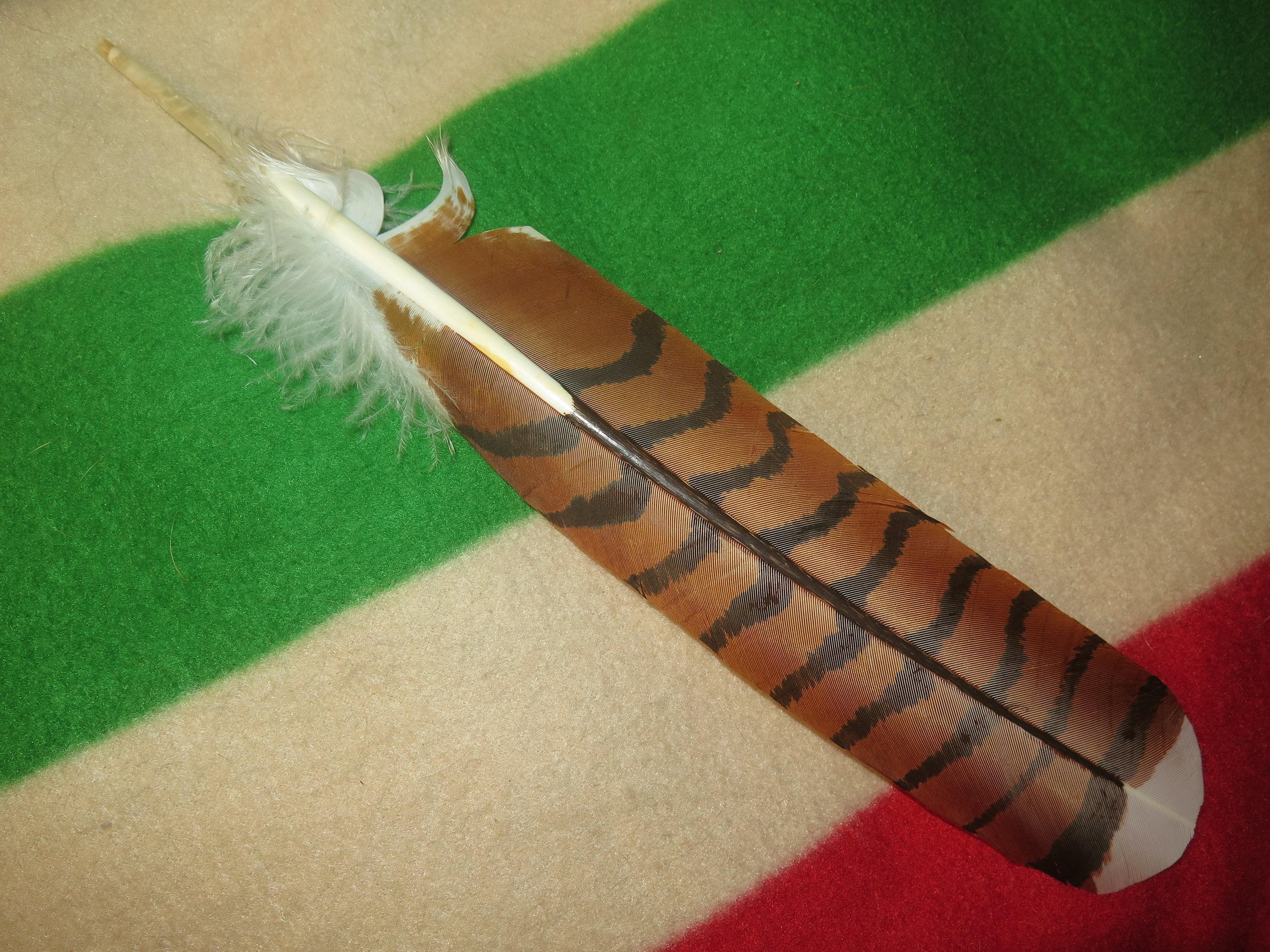Native American Made, Red Tailed Hawk Hand Painted - Etsy