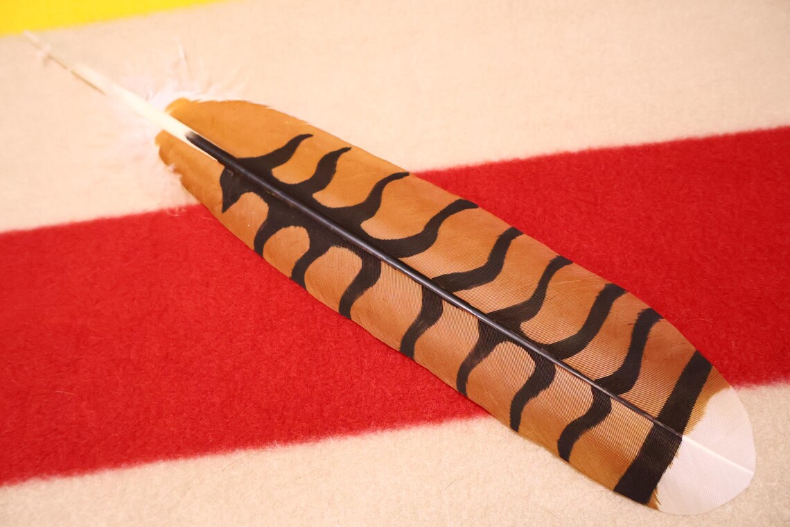 Native American Made Red Tailed Hawk Feather: Hand Painted - Etsy
