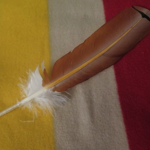 Native American Made Hawk Feathers Red Tail Mature Hawk Painted Feather ...