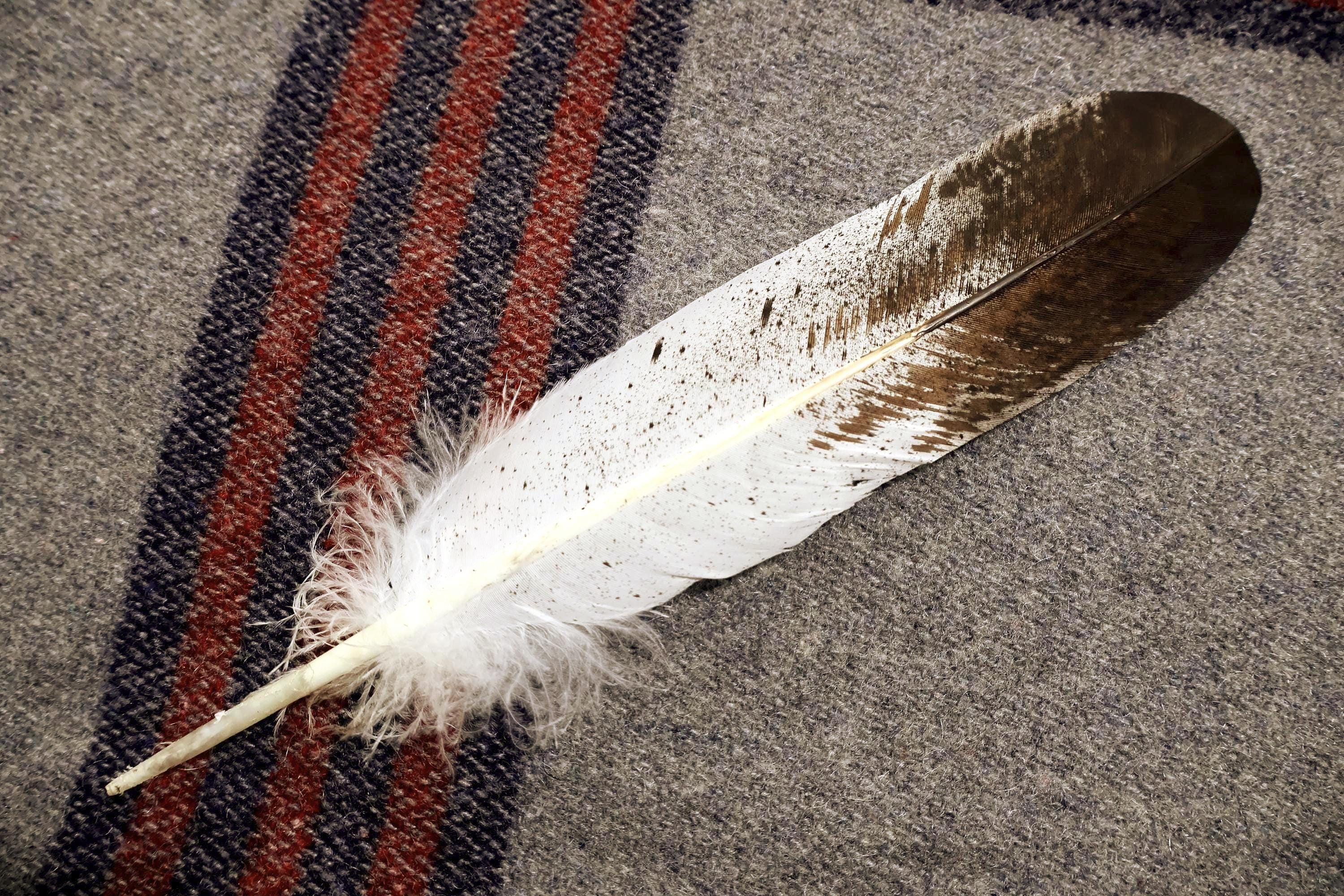 Native American Immature Golden Eagle Hand-painted Feather - Etsy