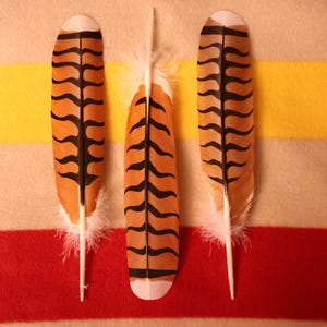 Native American Made Red Tailed Hawk Feather: Hand Painted - Etsy