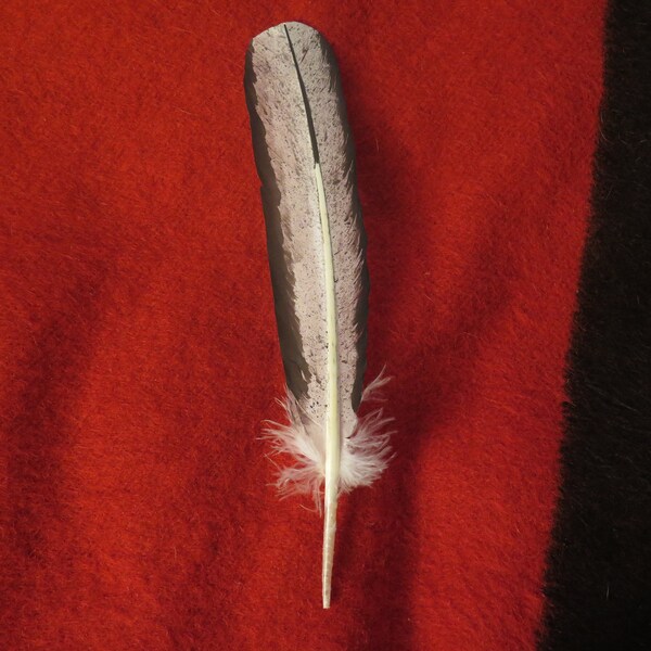 Painted Eagle - Etsy