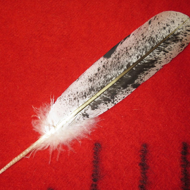 Painted Feathers - Etsy