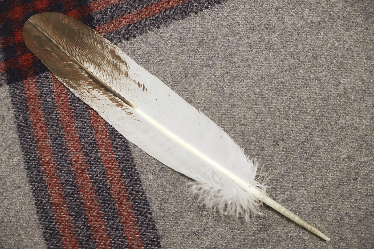 Native American Immature Golden Eagle Hand-painted Feather - Etsy