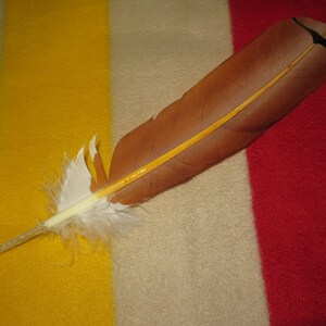 Native American Made Hawk Feathers Red Tail Mature Hawk Painted Feather ...