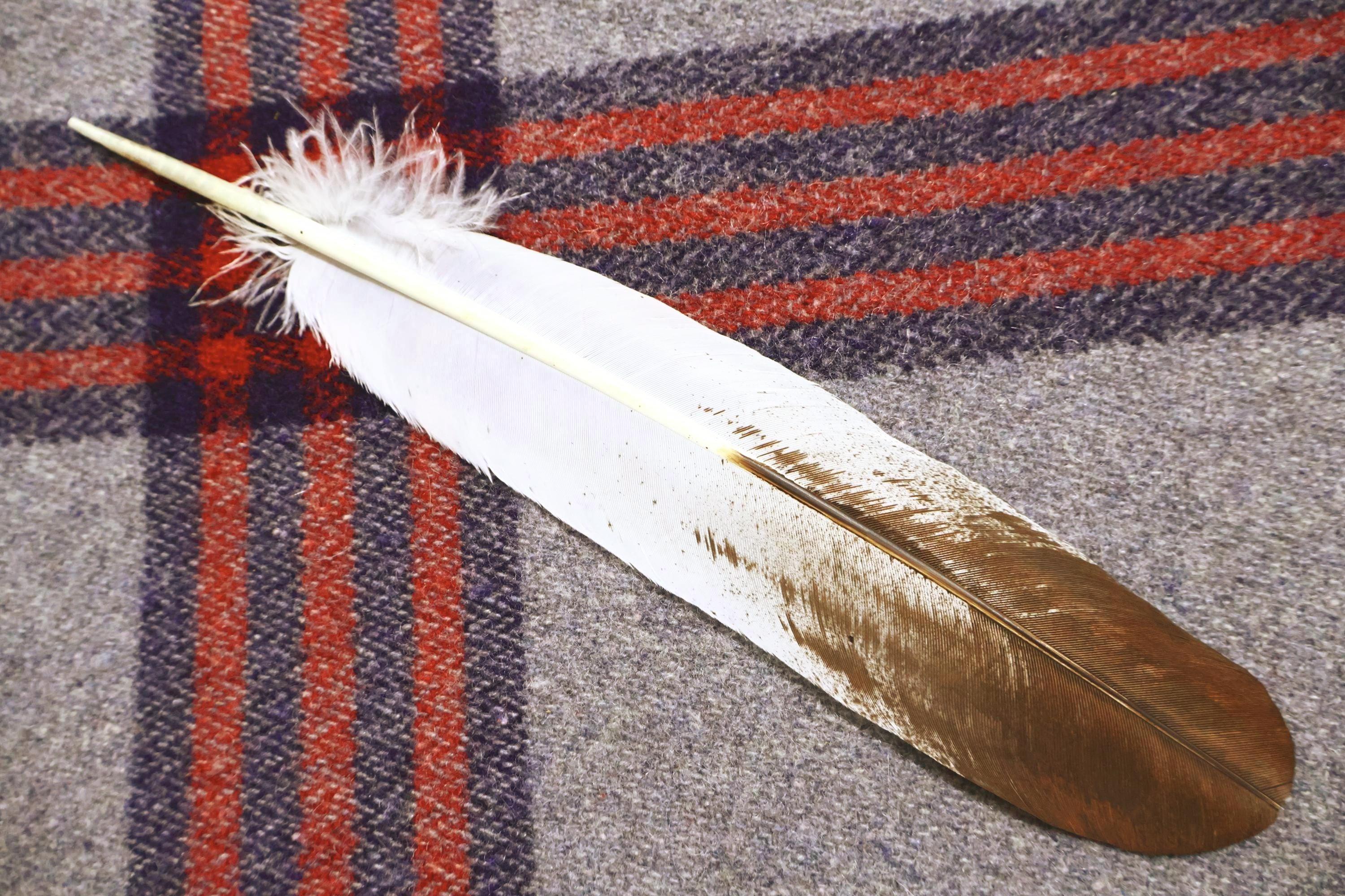 Native American Immature Golden Eagle Hand-painted Feather - Etsy