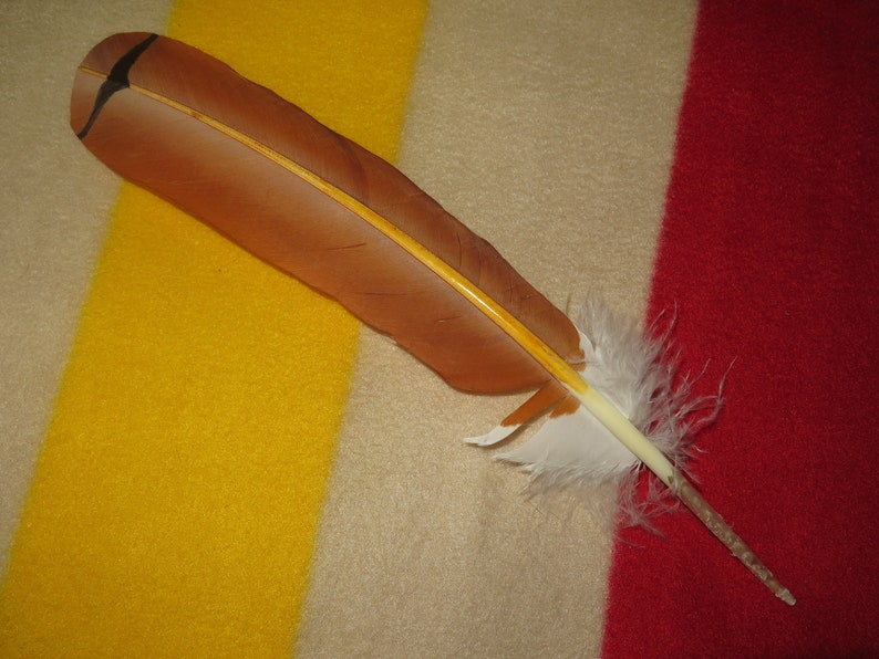 Native American Made Hawk Feathers Red Tail Mature Hawk Painted Feather ...