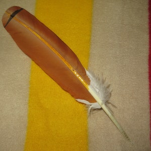 Native American Made Hawk Feathers Red Tail Mature Hawk Painted Feather ...