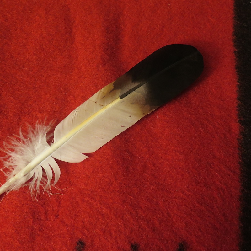 Eagle Feather - Etsy
