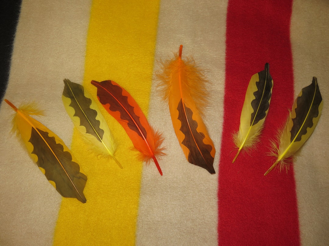 Hand Painted Flicker Feather: Western & Eastern North American Lucky ...