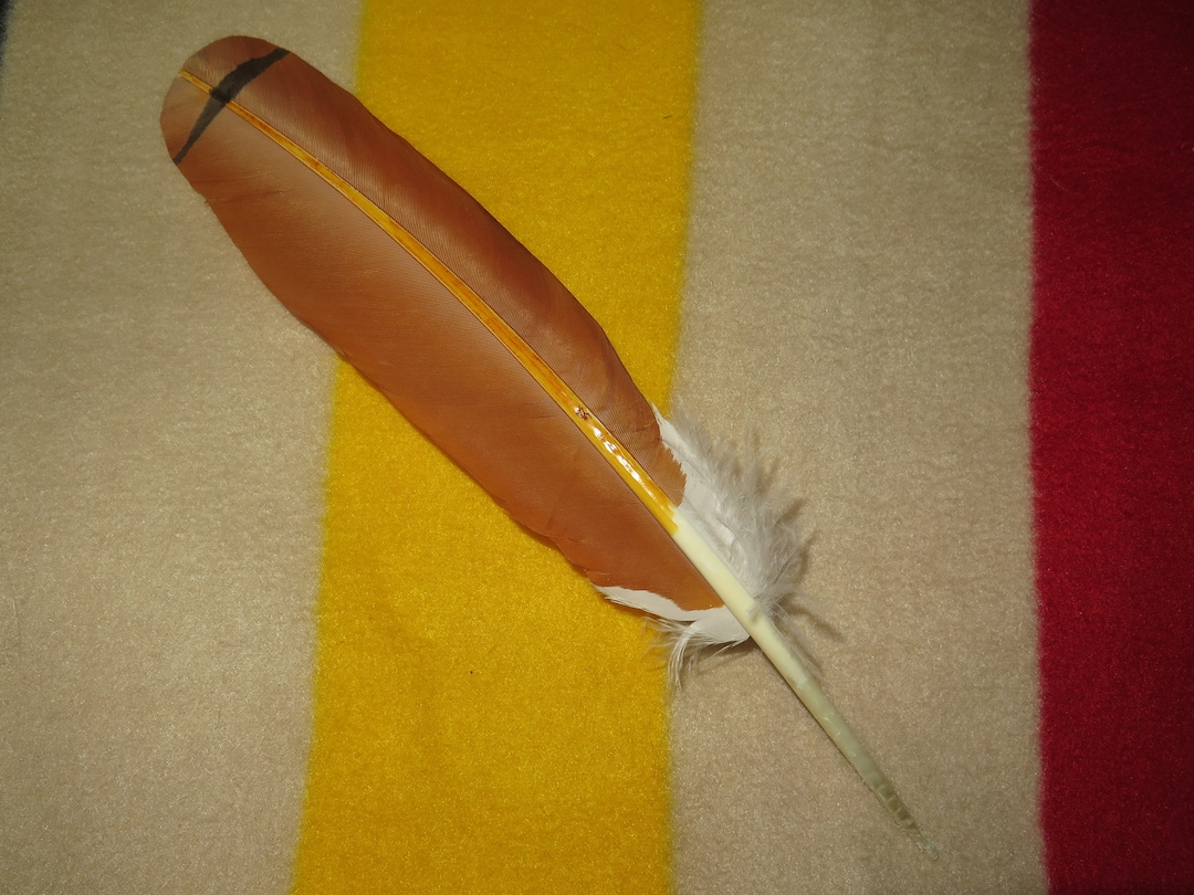 Native American Made Hawk Feathers Red Tail Mature Hawk Painted Feather ...