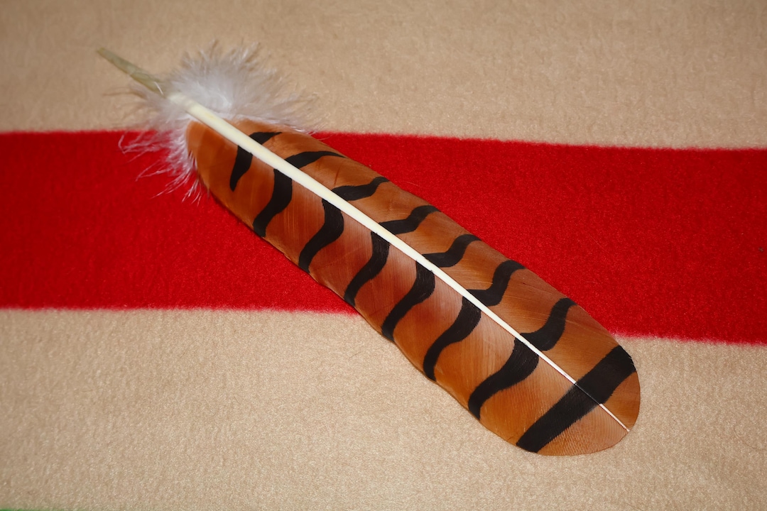 Hand-painted Red-tailed Hawk Feather: Native American Protector - Etsy
