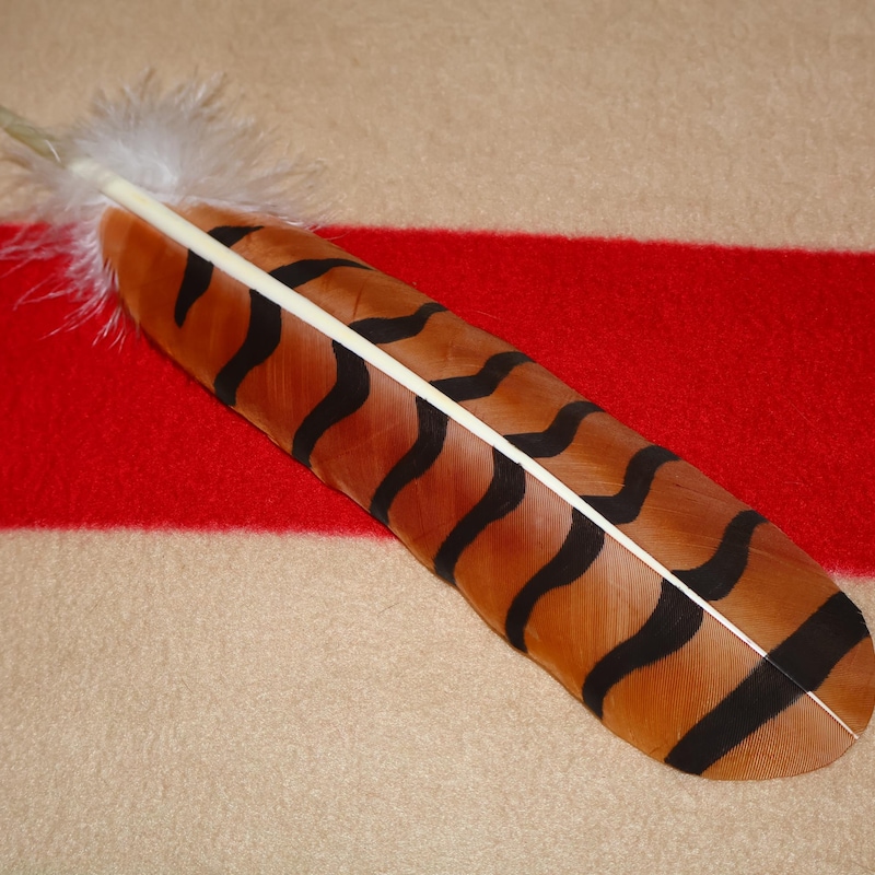 Hawk Feathers Visual Arts - Etsy