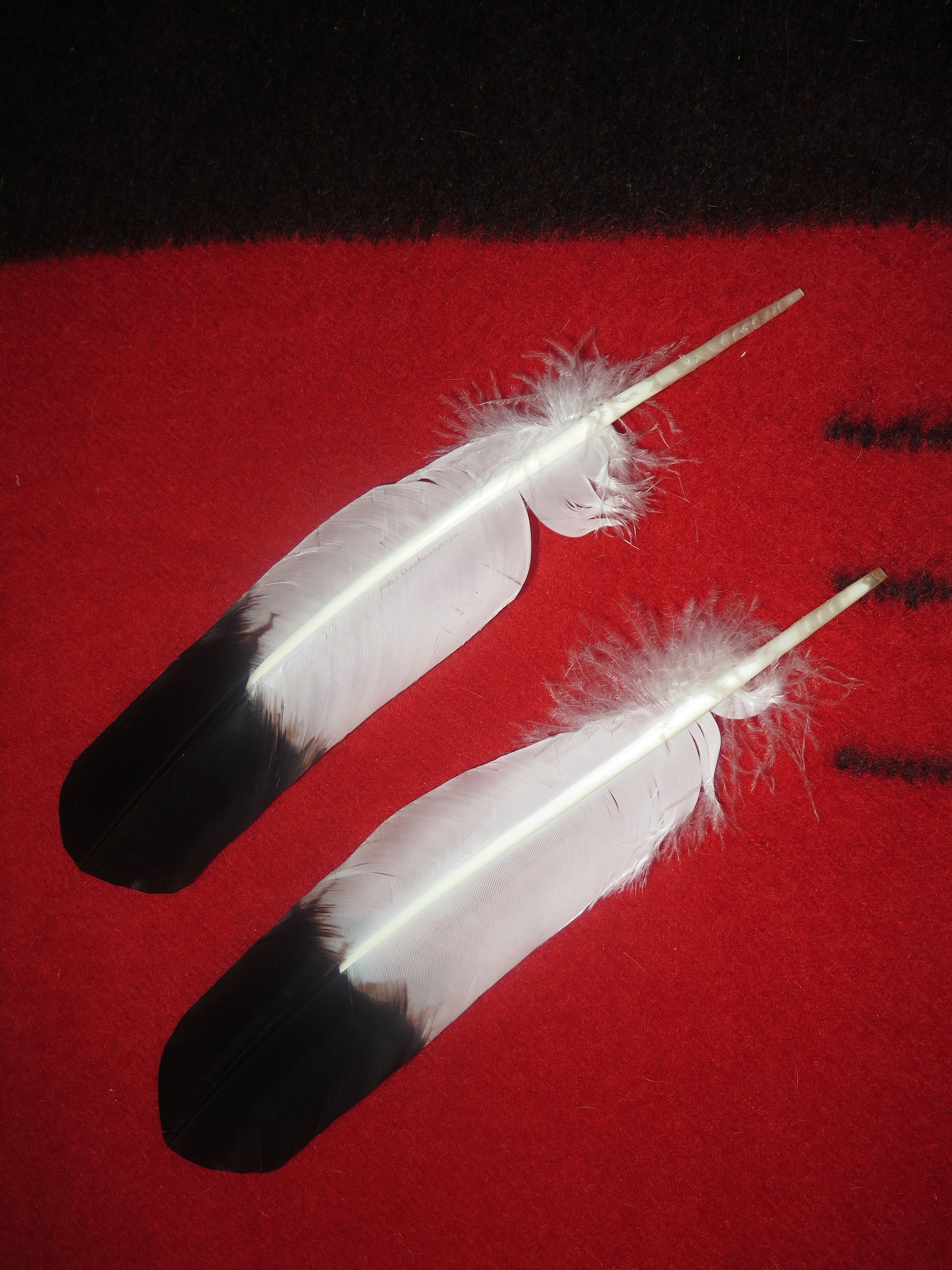 Native American Made Immature Golden Eagle Feather, Hand Painted ...
