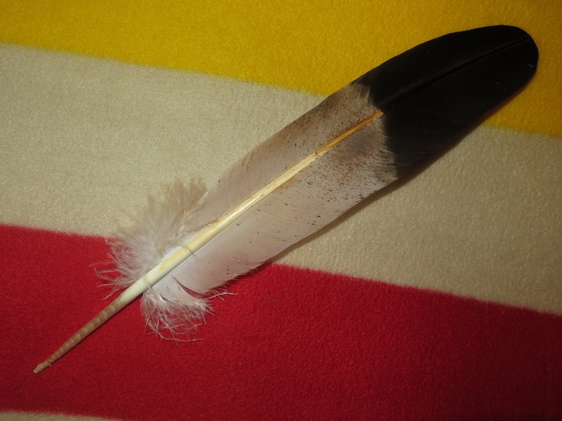 Native American Made Hand Painted Golden Eagle Feather - Etsy