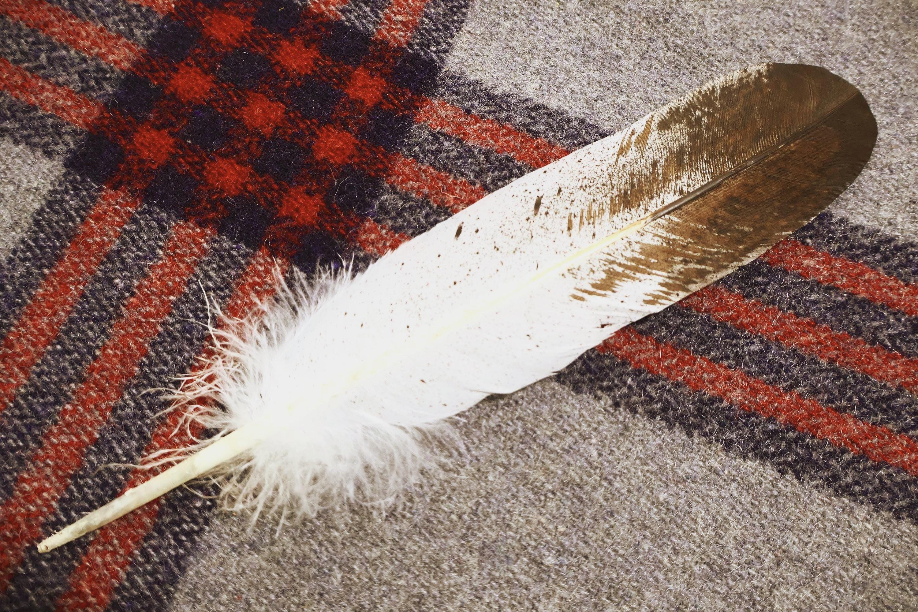 Native American Immature Golden Eagle Hand-painted Feather - Etsy