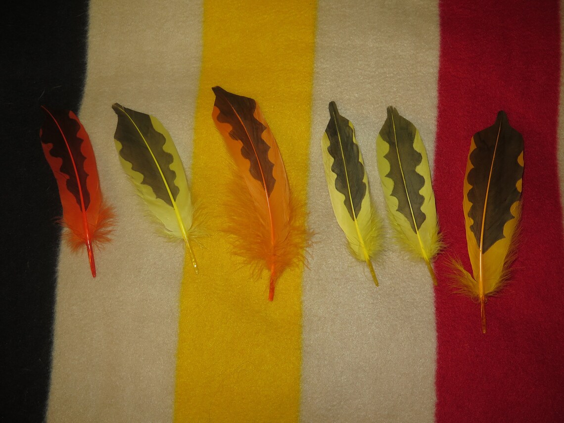 Hand Painted Flicker Feather: Western & Eastern North American Lucky ...