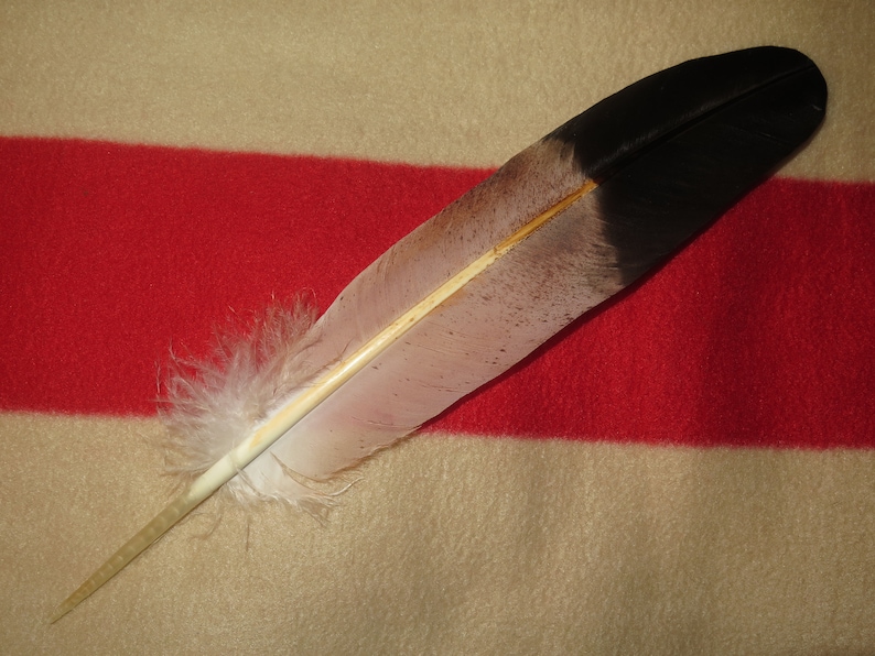 Native American Made Hand Painted Golden Eagle Feather - Etsy