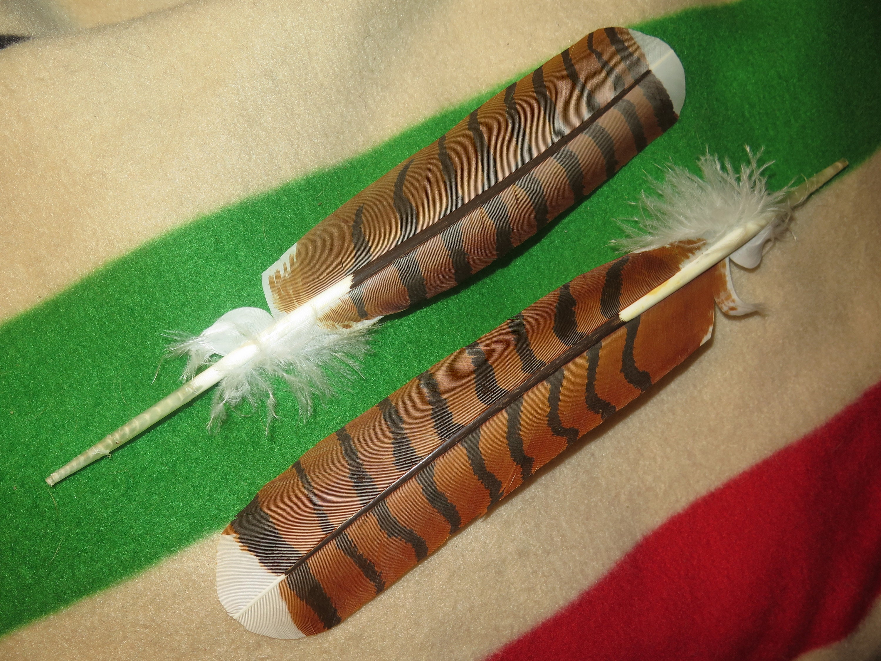 Native American Made, Red Tailed Hawk Hand Painted - Etsy
