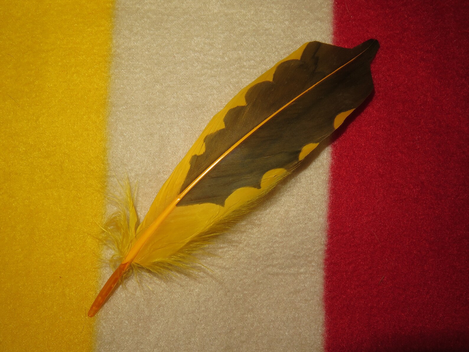 Hand Painted Flicker Feather: Western & Eastern North American Lucky ...
