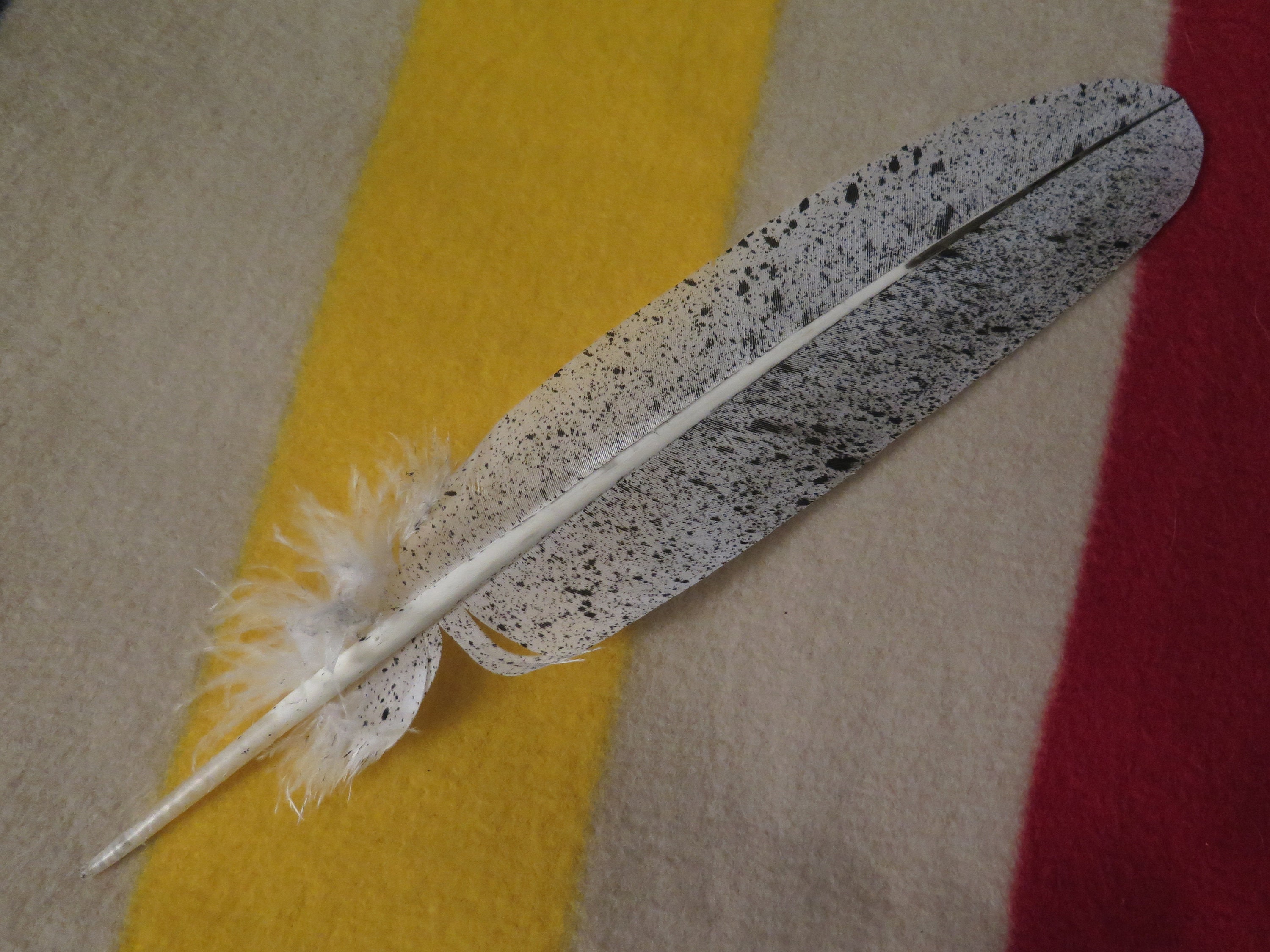 Hand-painted Bald Eagle Imitation Feather: 12" Craft Supply - Etsy