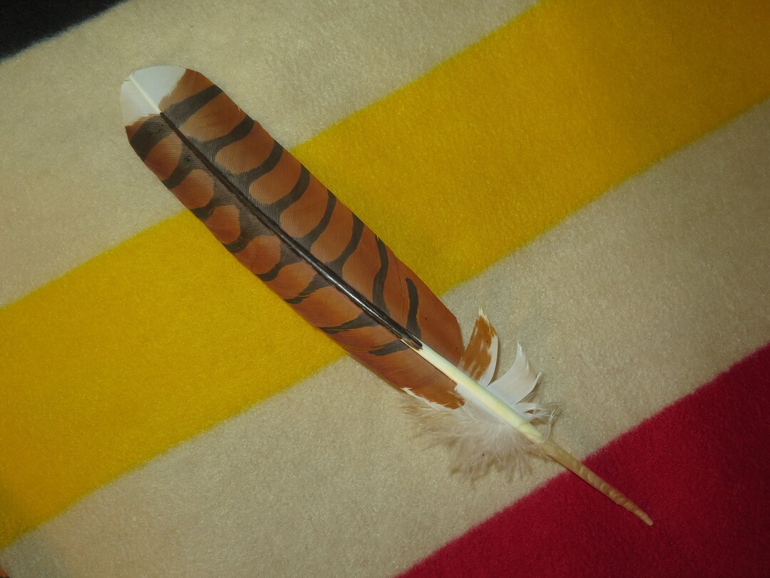 Native American Made, Red Tailed Hawk Hand Painted - Etsy