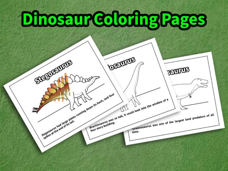 Dinosaur Coloring Pages PDF Bundle / T-rex / Stegosaurus ...