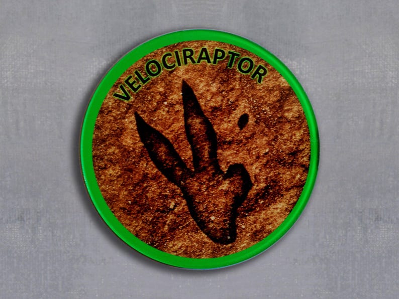 Dinosaur Footprint Coasters 4 Pack - Etsy