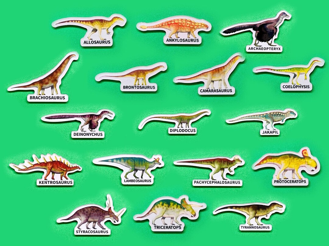 Set of 17 Realistic Dinosaur Magnets Fridge Magnets Set Educational Toy ...