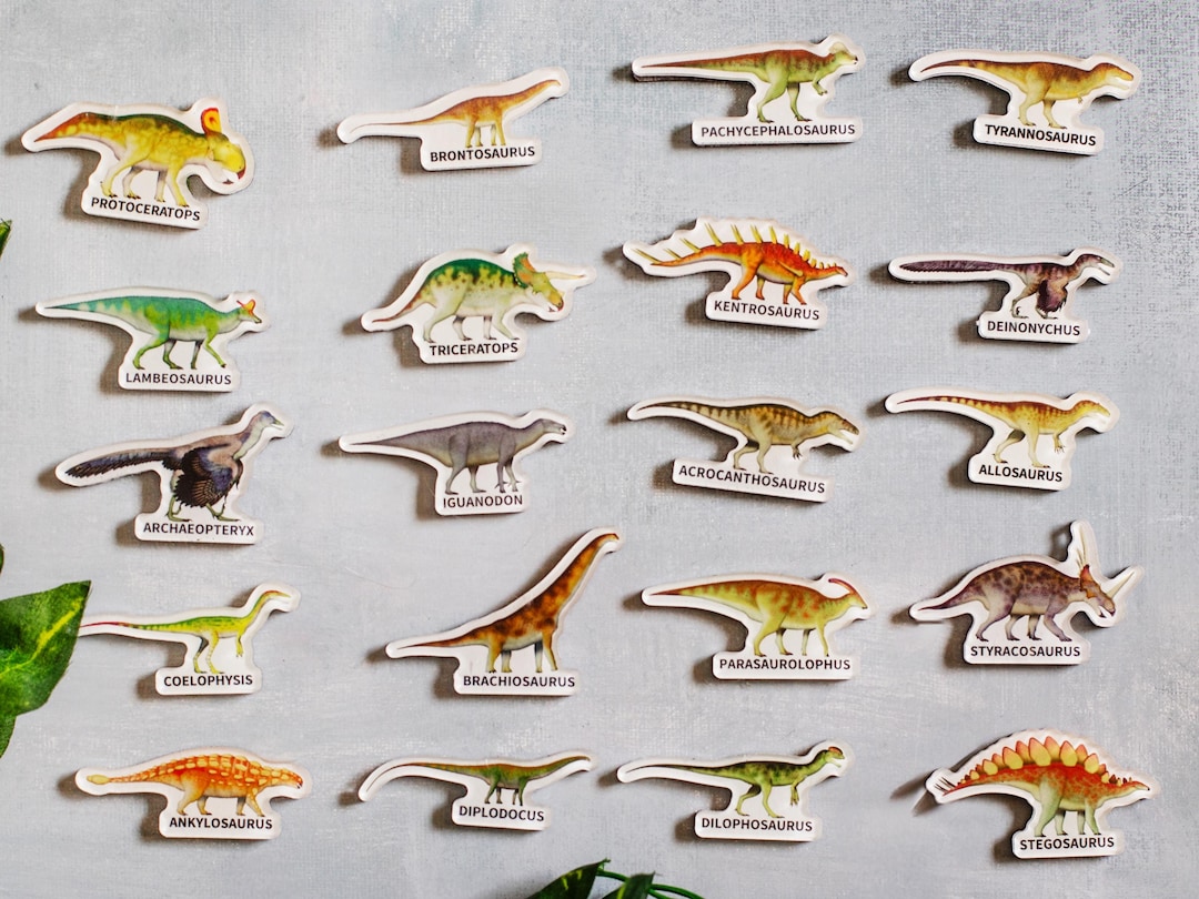Dinosaur Refrigerator Magnets - Etsy