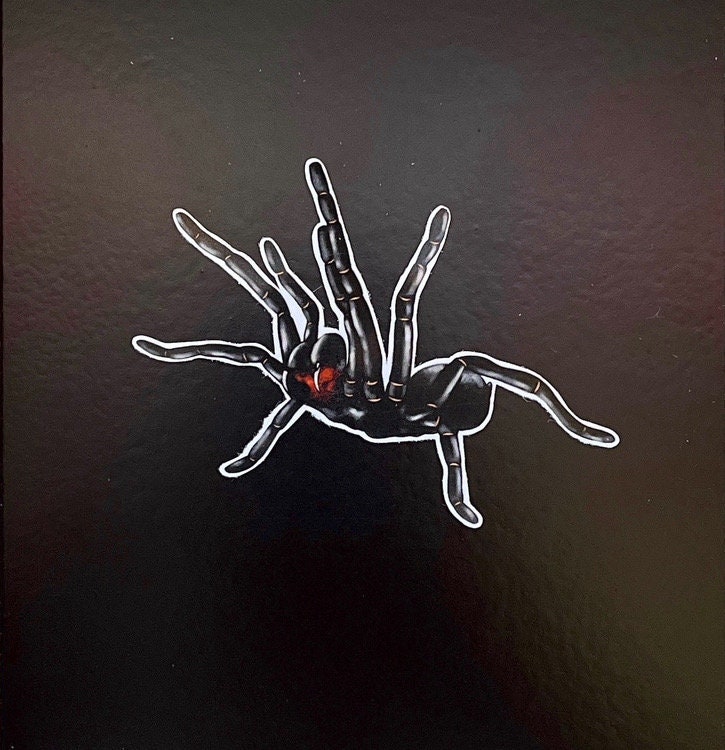 Webbed World Tarantula Sticker - Etsy