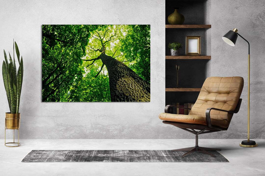 Old Tree Canvas Art, Big Tree Wall Art, Green Canvas Art, Green Tree ...