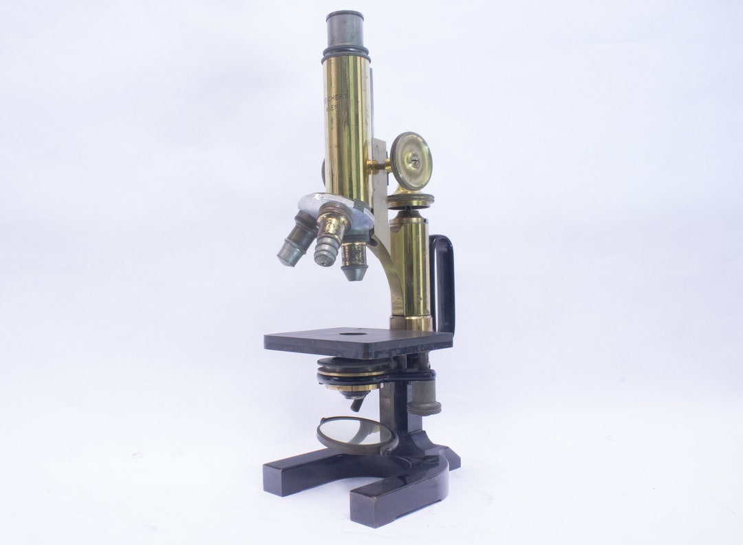 Reichert Antique Brass Microscope (33836) - Etsy
