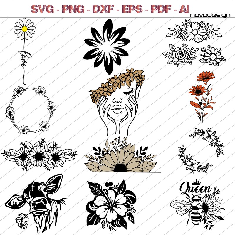 Daisy Svg - Etsy