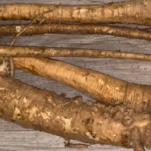 Fresh POKE BERRY Root-dug to Order - Etsy
