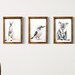 Australian Animals Collection Frame Kangaroo - Etsy