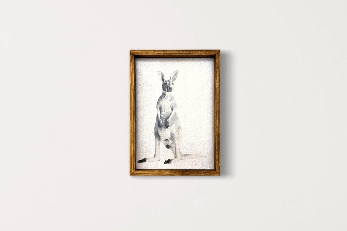 Australian Animals Collection Frame Kangaroo - Etsy