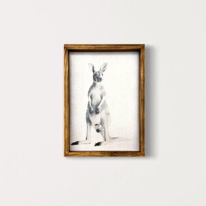 Australian Animals Collection Frame - Kangaroo - Etsy